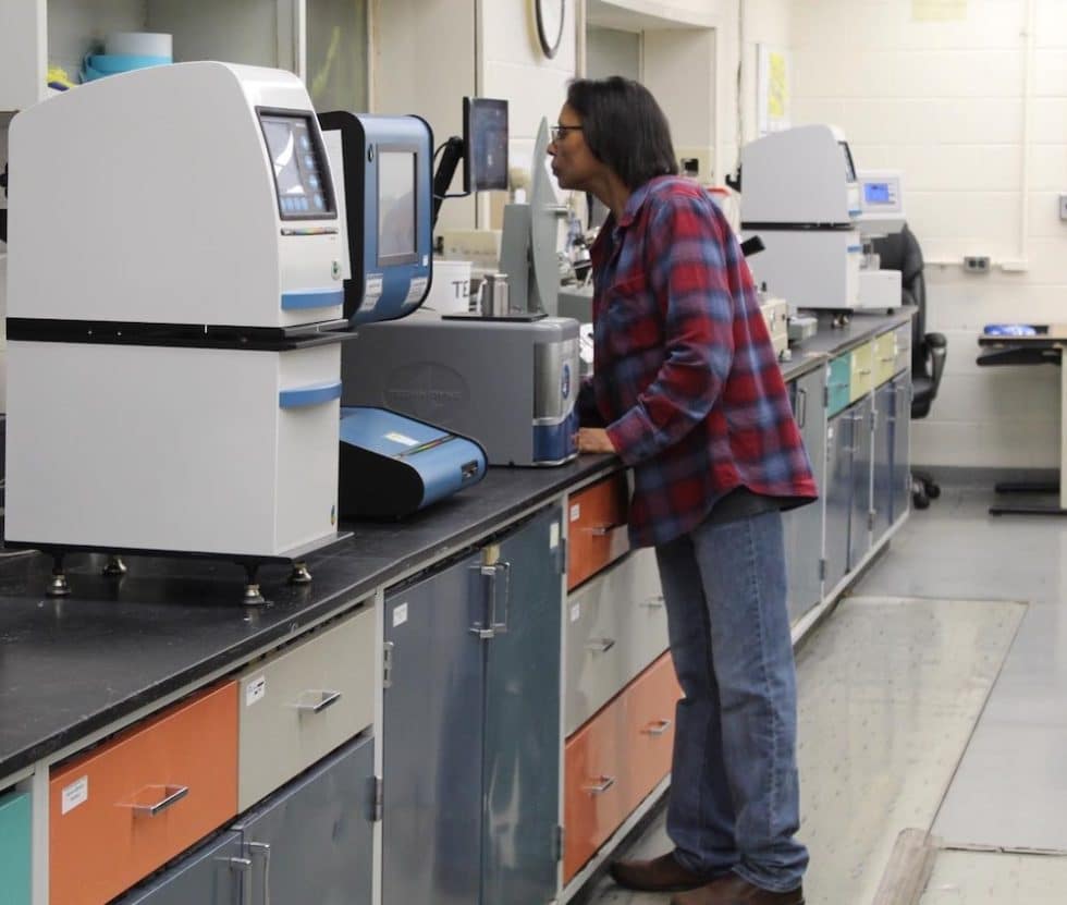 Our Products | Phoenix Paper