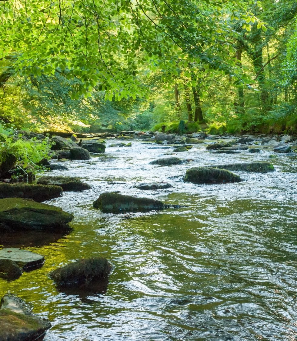 Sustainability | Phoenix Paper