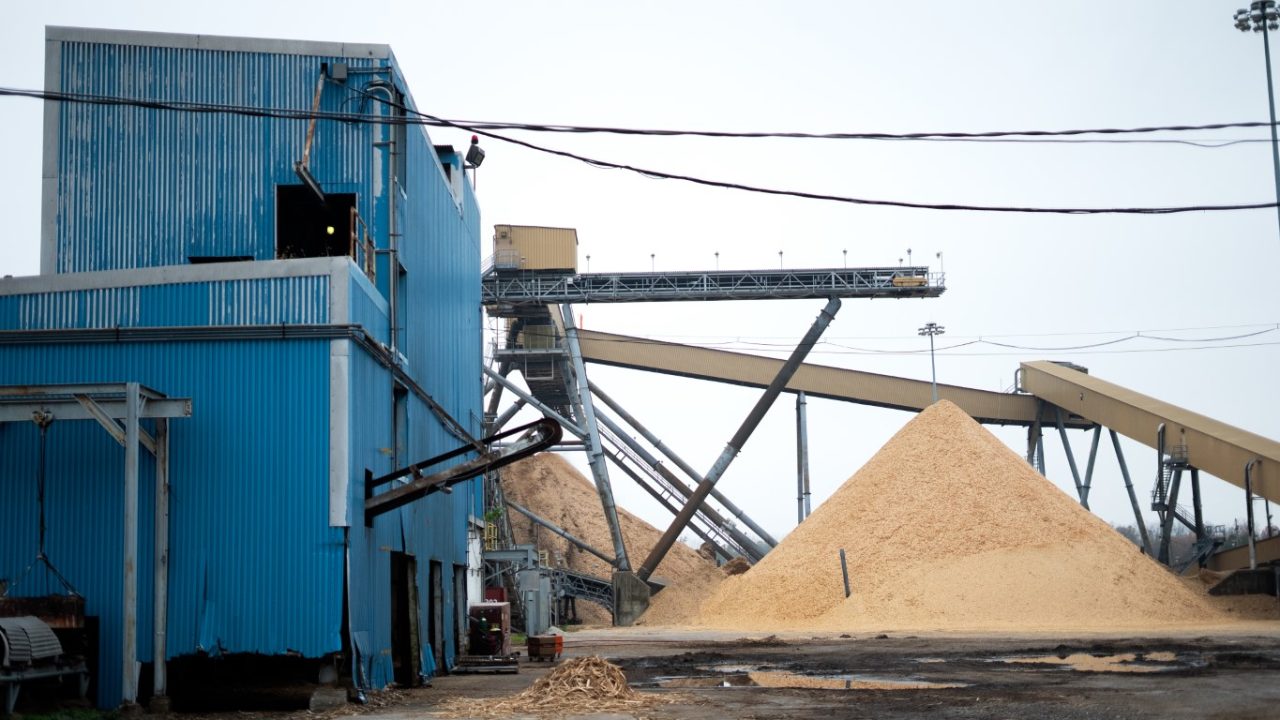 Become a Phoenix Carrier - Phoenix Paper